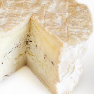 Trufflebert - Creamy goat's milk artisan cheese with Italian Truffles ...